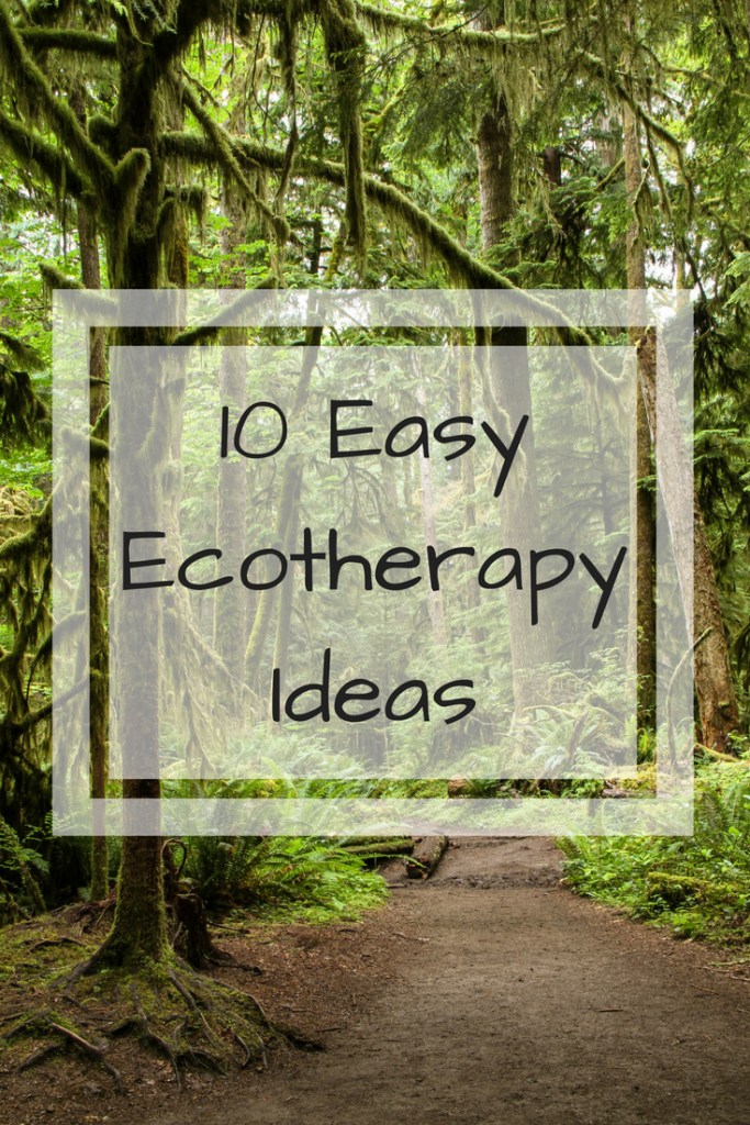 10 Easy Ecotherapy Ideas – Kirstie Anne Wellbeing
